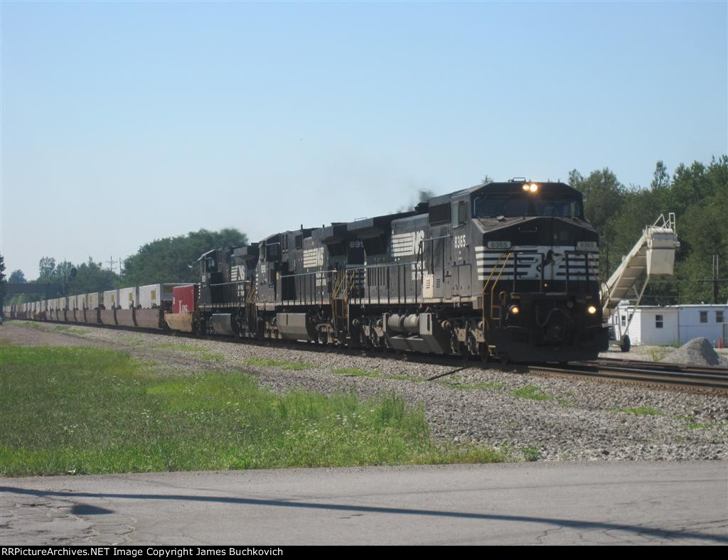 NS 8365, NS 8958, and NS 9933